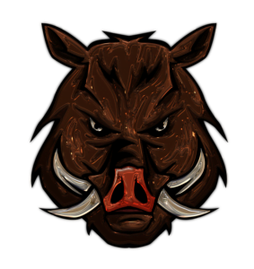 Bot Discord : BoarMusicBot - Blog Ardennes Découverte