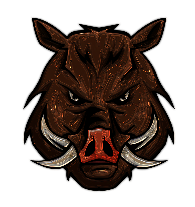 Bot Discord : BoarMusicBot - Blog Ardennes Découverte